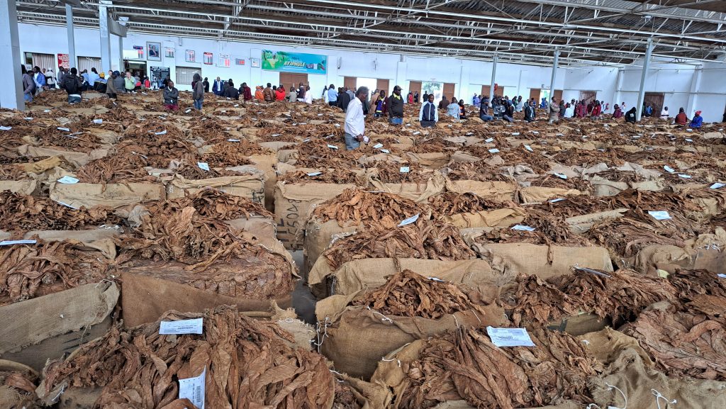 Tobacco rakes in K630.1 bn, Commission hopeful on sales – MCCCI